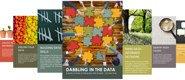 Dabbling in the Data: A Hands-On Guide to Participatory Data Analysis ...